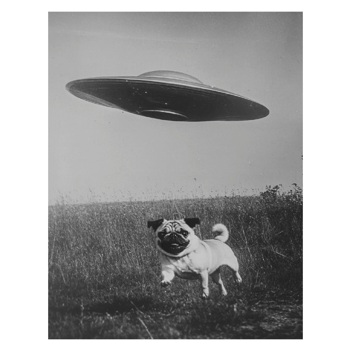 Decorative "Coquette Collection: Alien Pug" Poster | High-Quality Prin ...